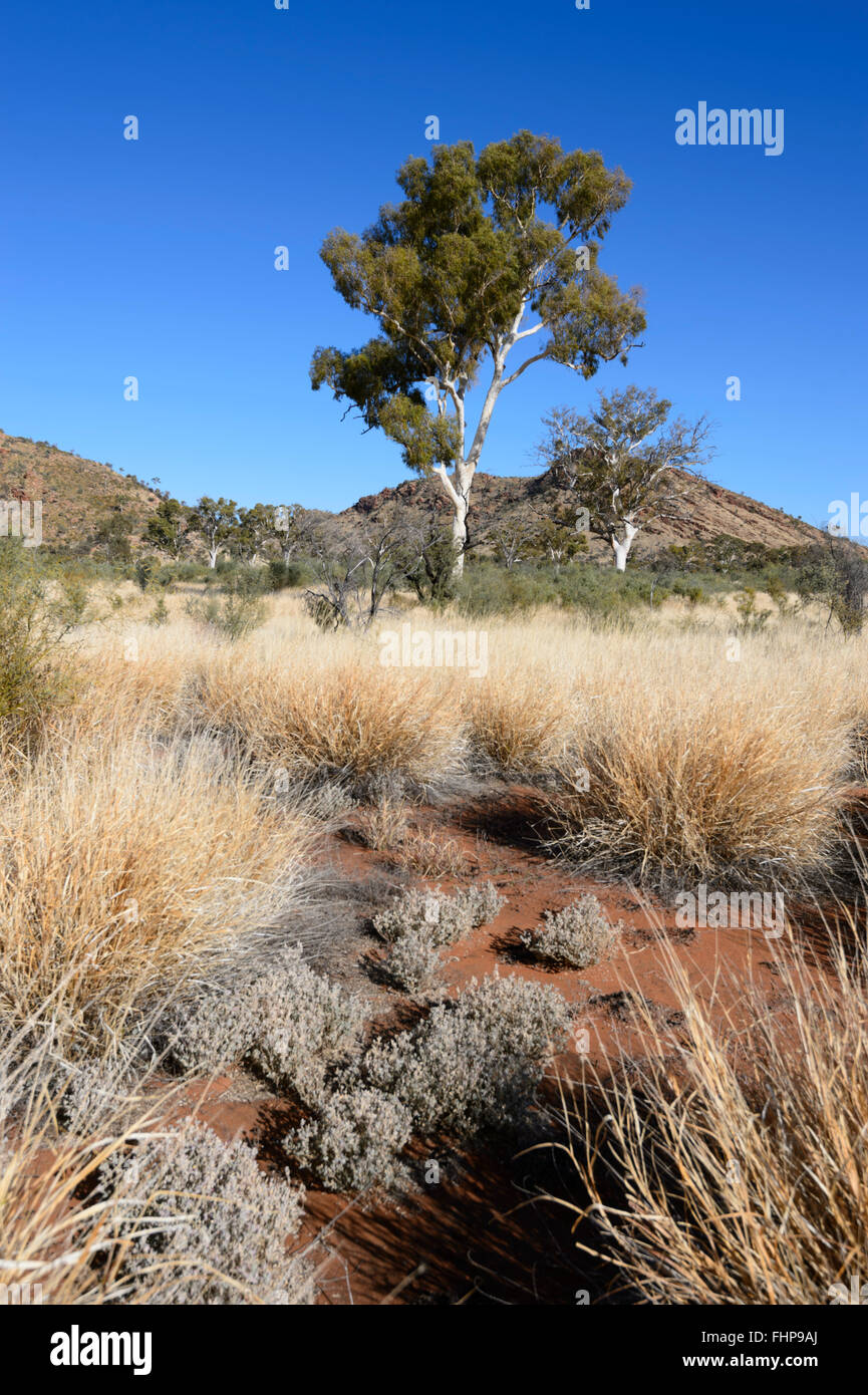 Larapinta Drive, West MacDonnell Ranges, Northern Territory, NT ...