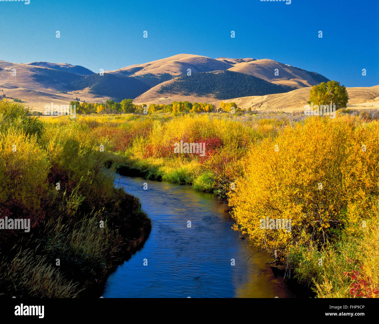 Sieben ranch hi-res stock photography and images - Alamy