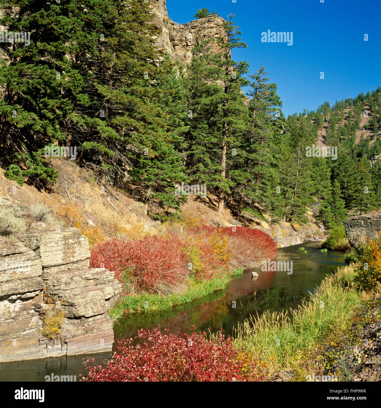fall colors along little prickly pear creek in wolf creek canyon near ...