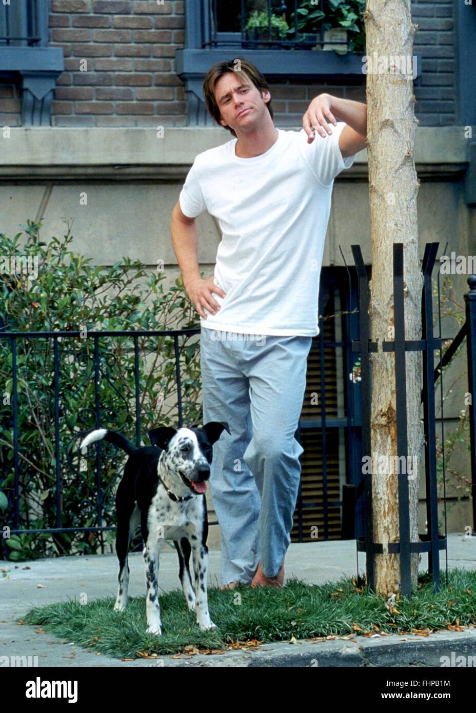 Dog Almighty High Resolution Stock Photography and Images - Alamy