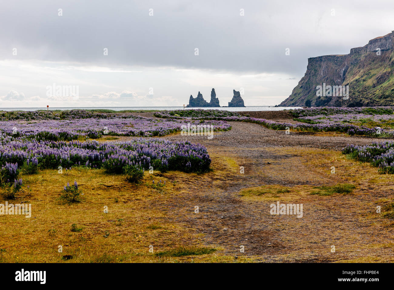 Vik iceland summer hi-res stock photography and images - Alamy