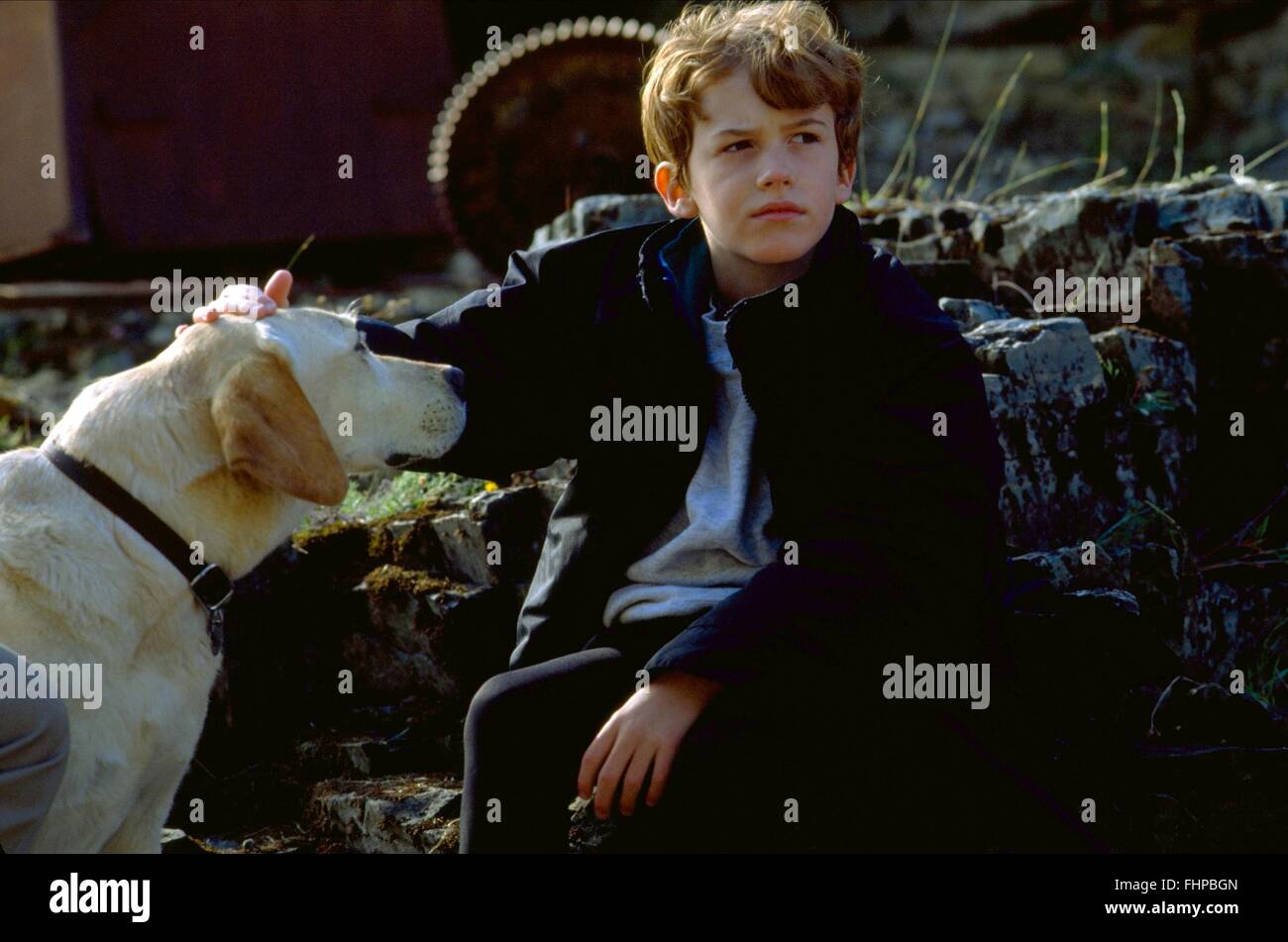 Joseph Mazzello High Resolution Stock Photography and Images - Alamy