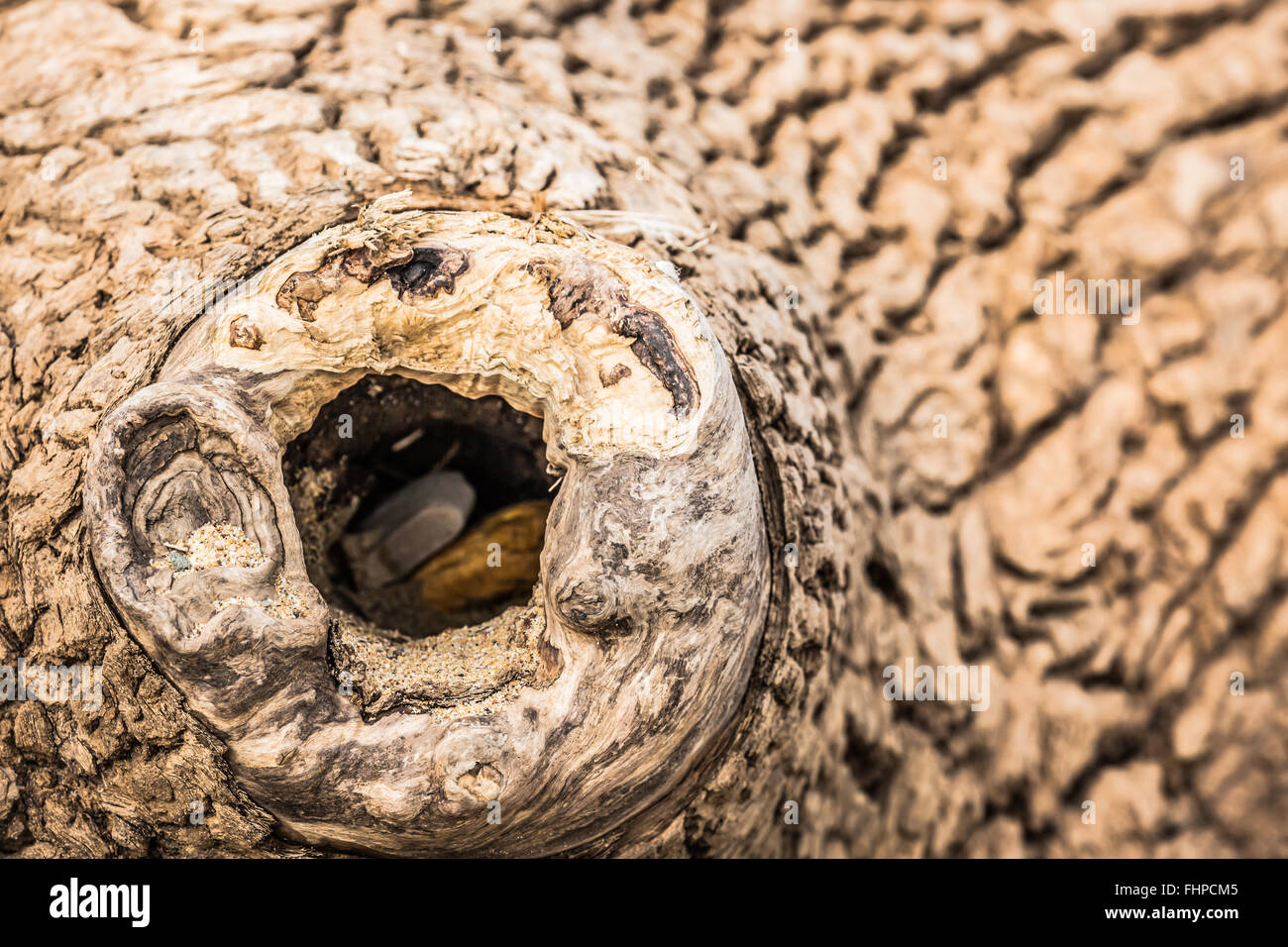 Trunk opening hi-res stock photography and images - Alamy
