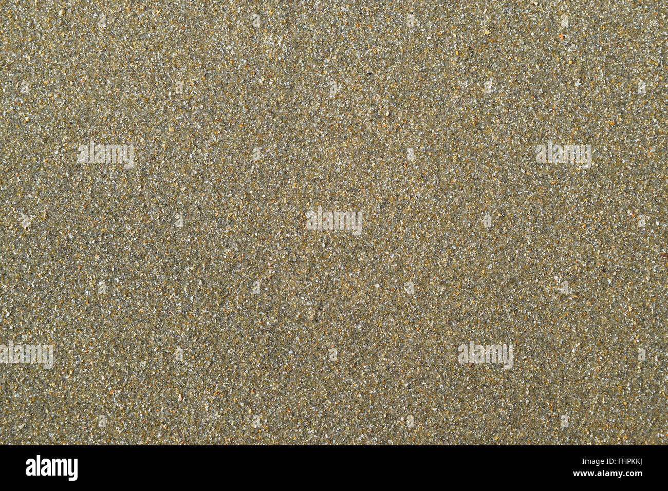Background of wet sand of the sea. The sand from the shell Stock Photo ...