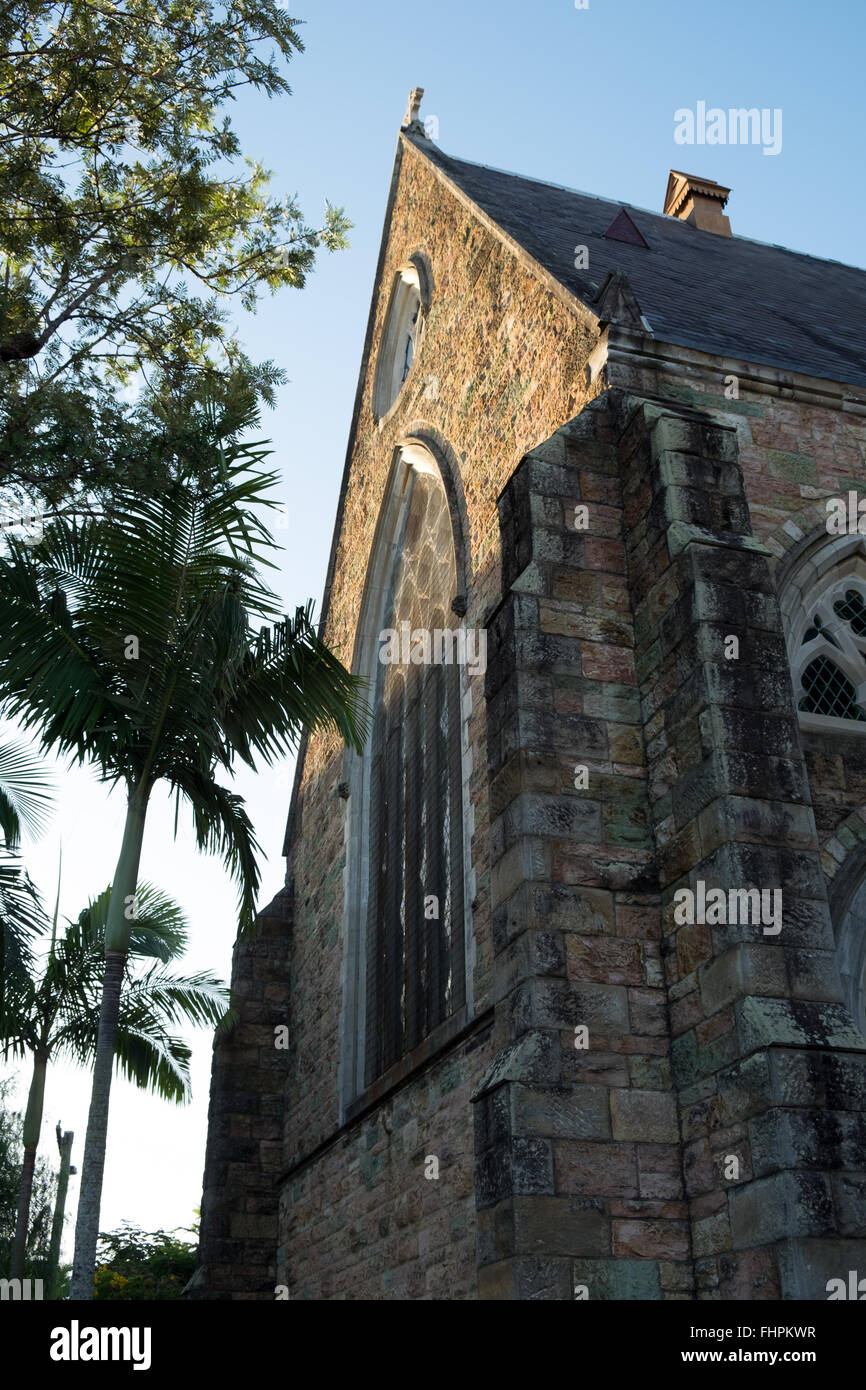 Christ church palm trees hi-res stock photography and images - Alamy