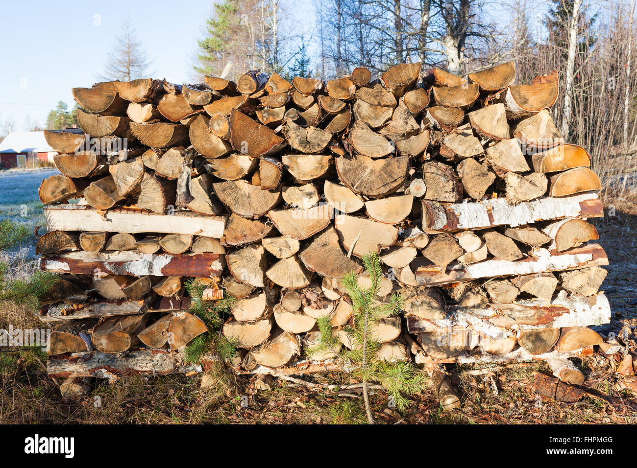 Firewood pile of wood hi-res stock photography and images - Alamy