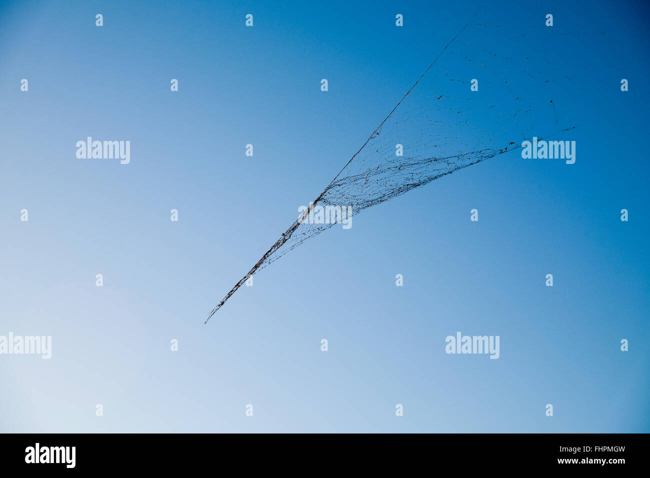 Tangled cobweb hi-res stock photography and images - Alamy