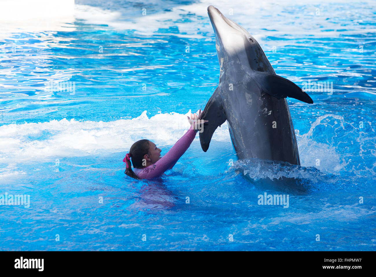Dolphin Theatre at sea world orlando Florida dolphins performing Stock ...