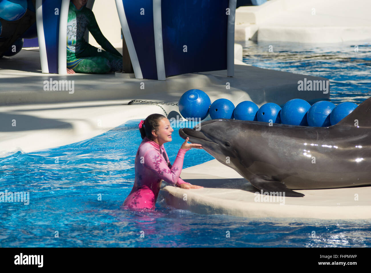 Dolphin Theatre at sea world orlando Florida dolphins performing Stock ...