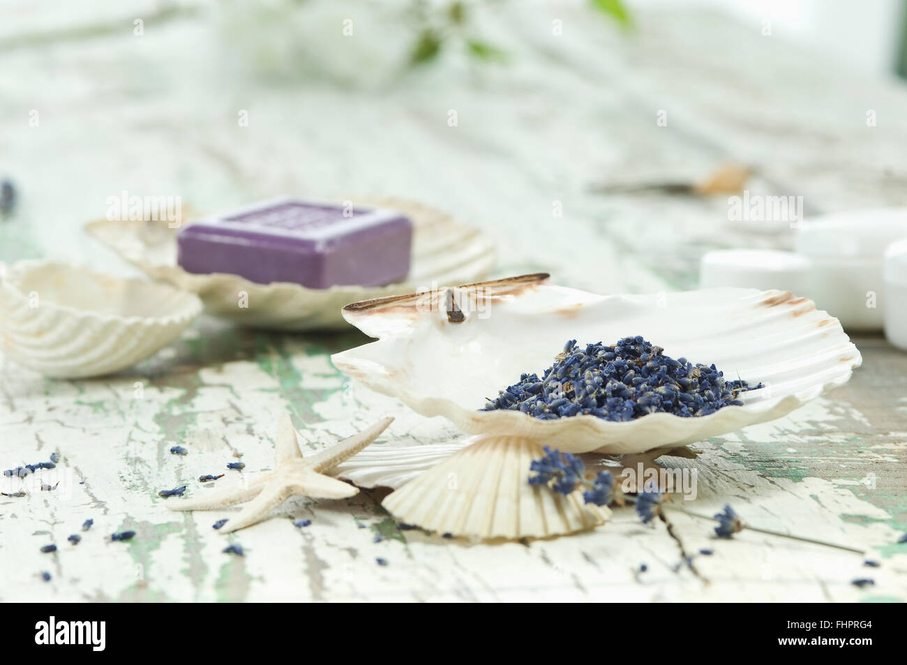 Lavender in sea shell and bar of soap Stock Photo - Alamy