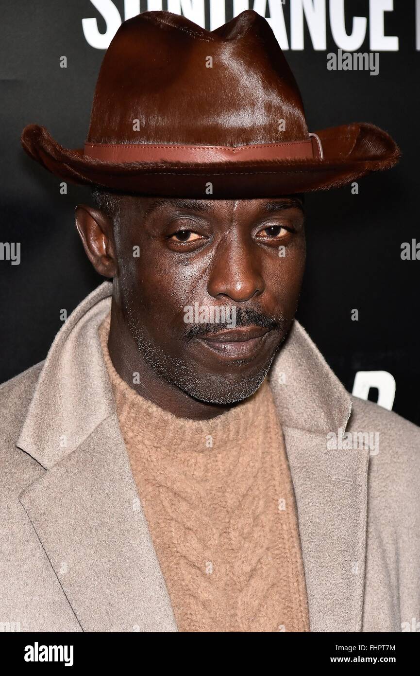 New York, NY, USA. 25th Feb, 2016. Michael Kenneth Williams at arrivals ...