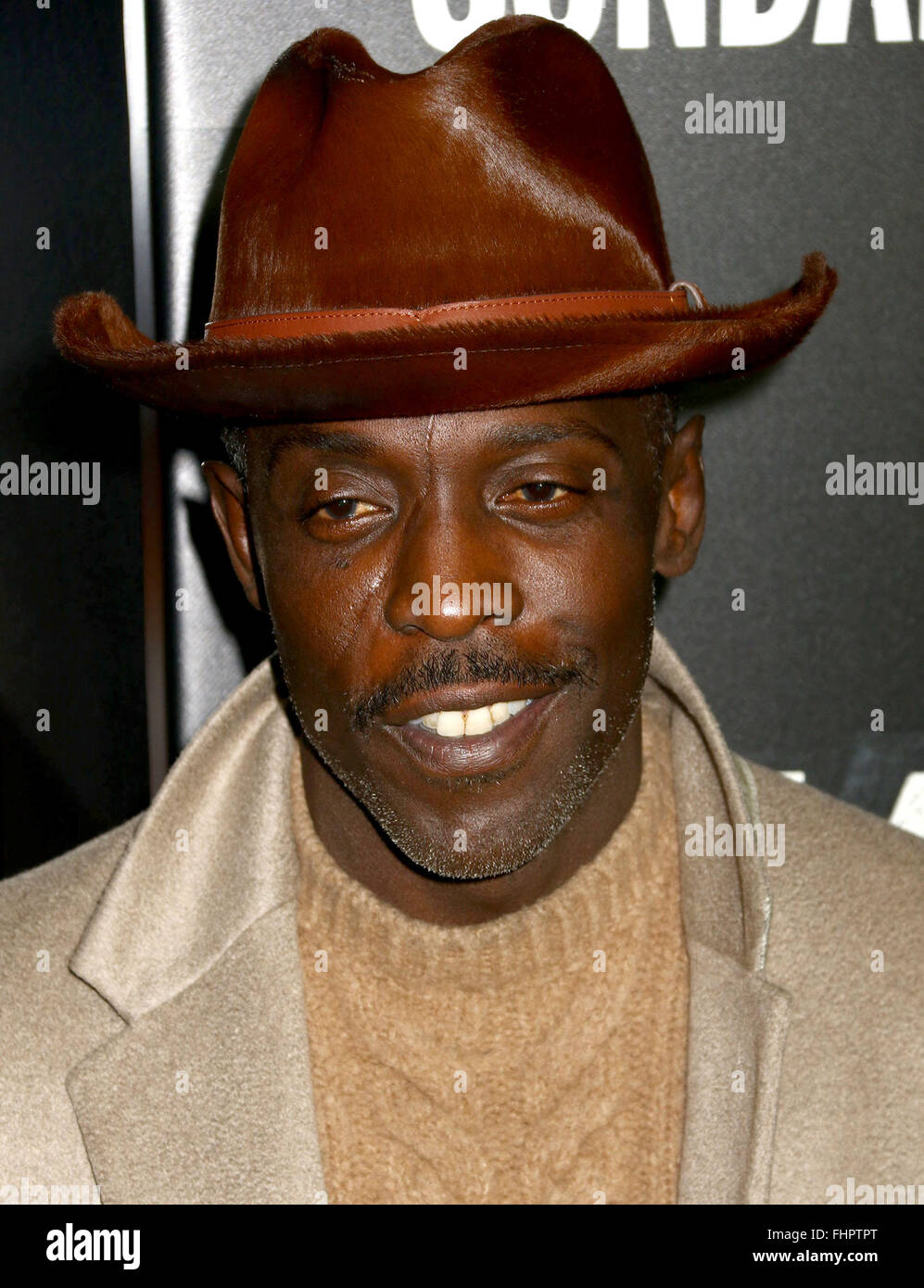 New York, New York, USA. 25th Feb, 2016. Actor MICHAEL K. WILLIAMS ...
