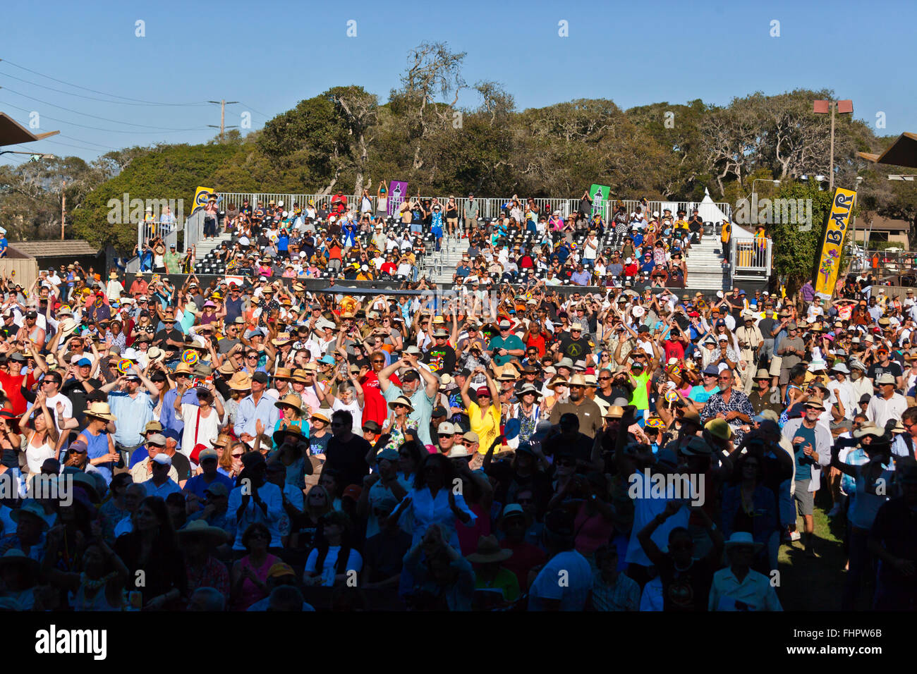 The crowd goes wild hi-res stock photography and images - Alamy