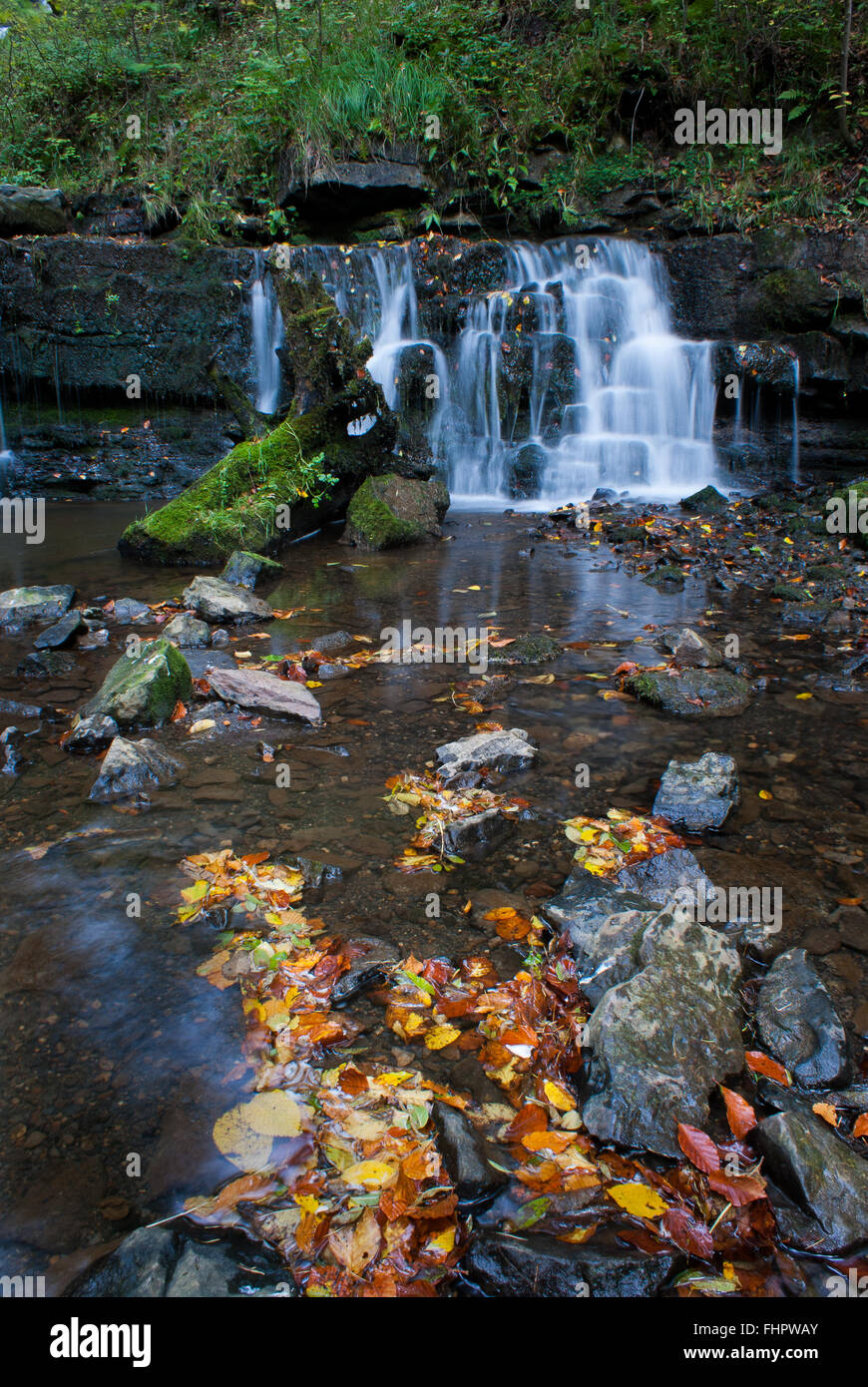 Scaleber Force Waterfall Settle Yorkshire UK Stock Photo - Alamy