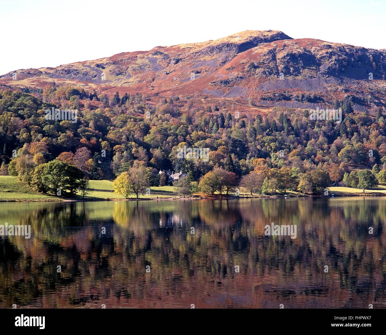 Trees reflected in lake during the Autumn, Grasmere, Lake District ...