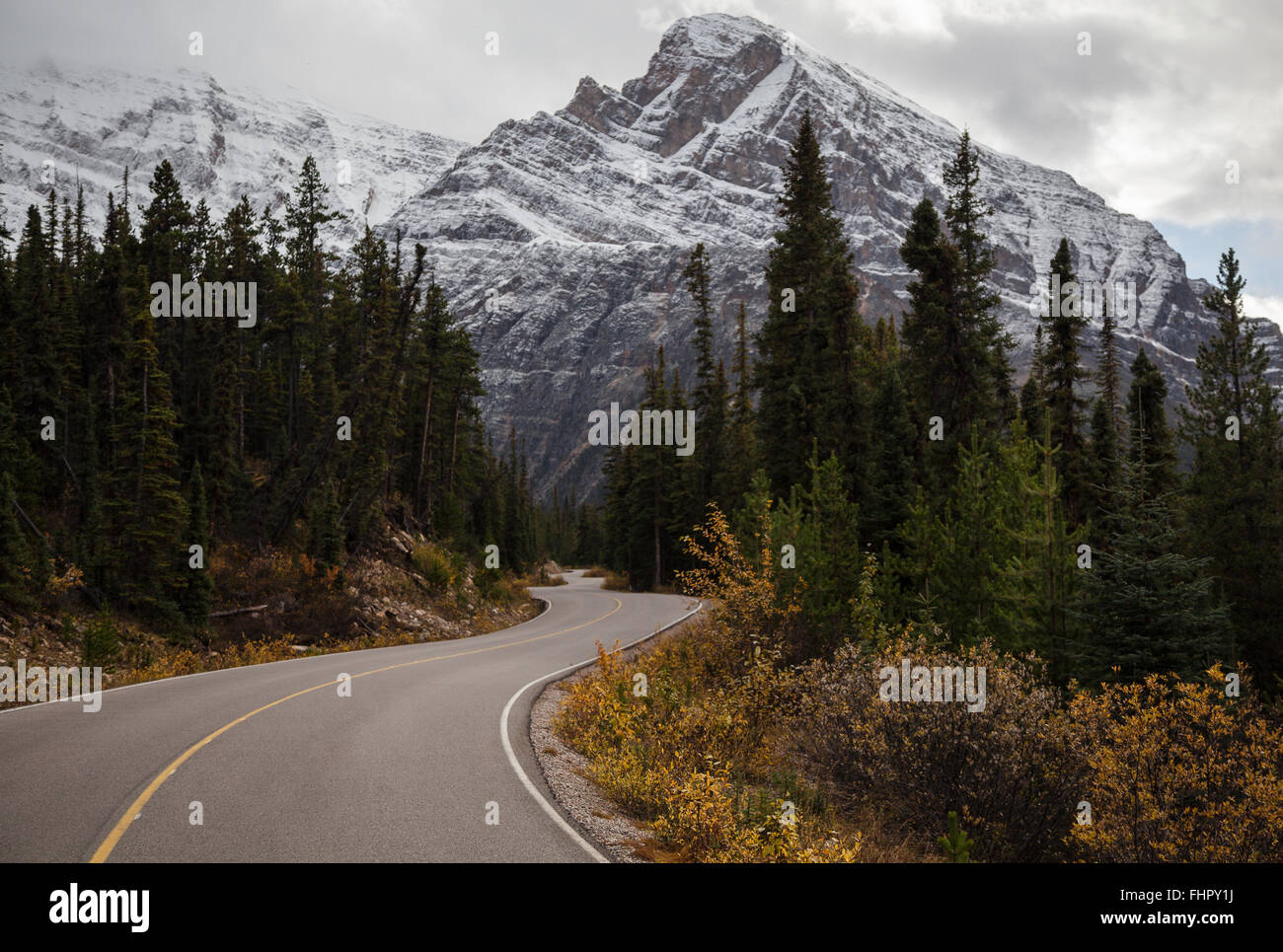 Road to Edith Cavell in Jasper National Park Stock Photo - Alamy