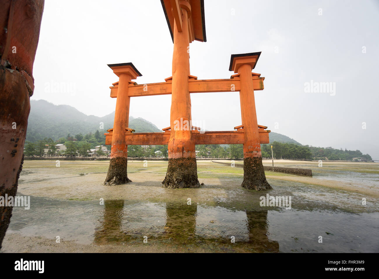 beyond Floating Torii gate in Miyajima, Japan Stock Photo - Alamy