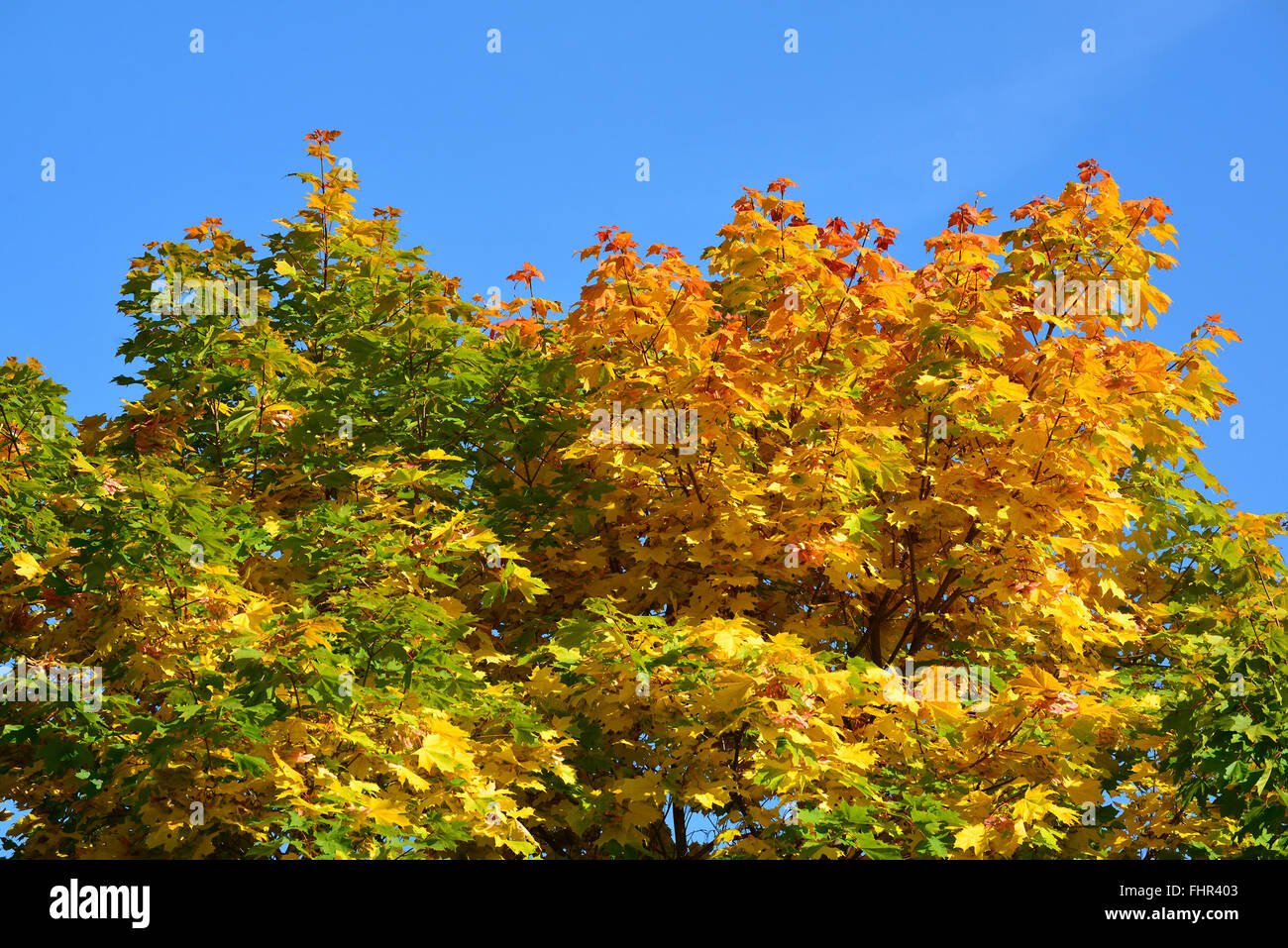 On beautiful october day hi-res stock photography and images - Alamy