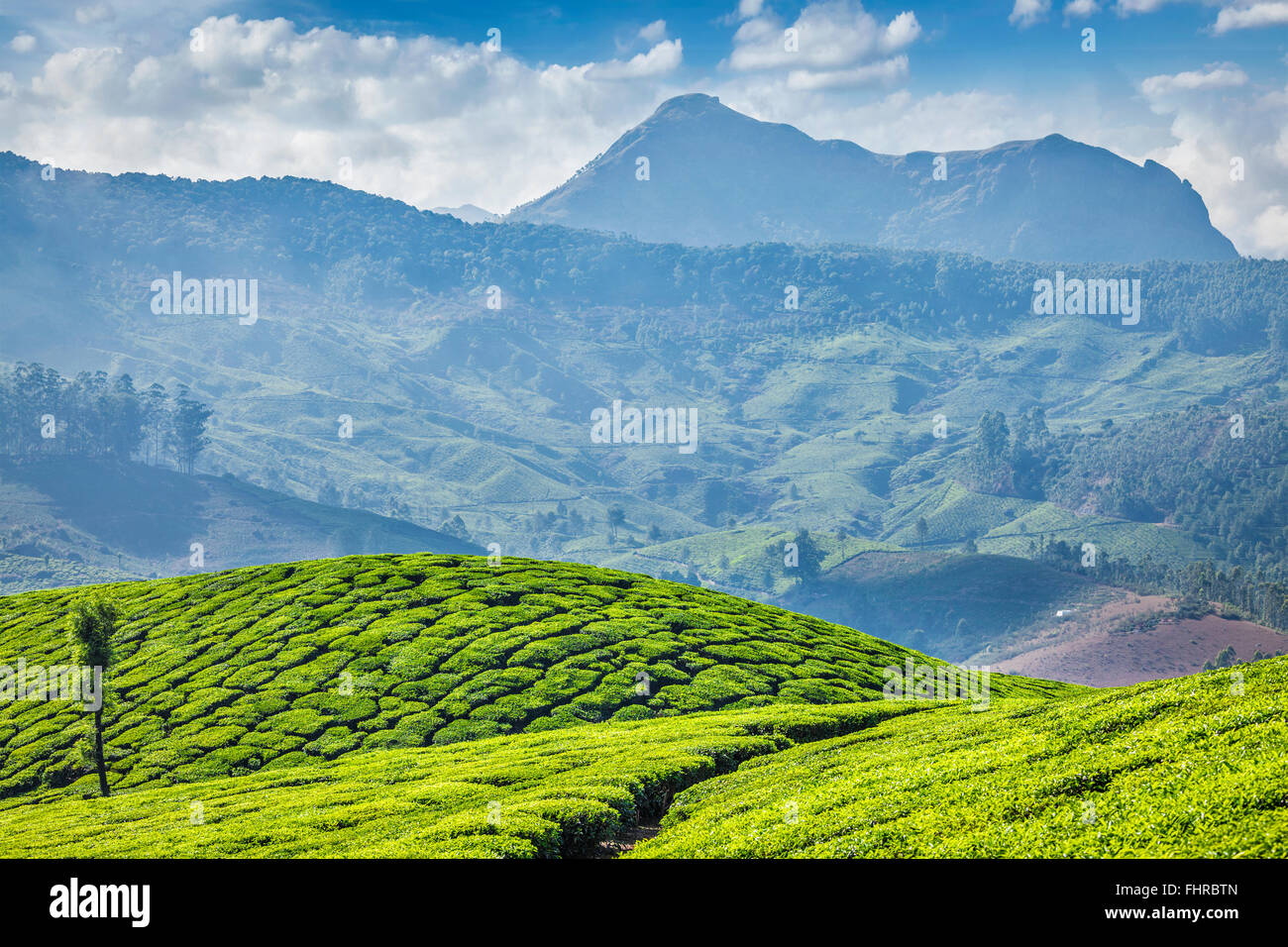 Indie Landscape Photography