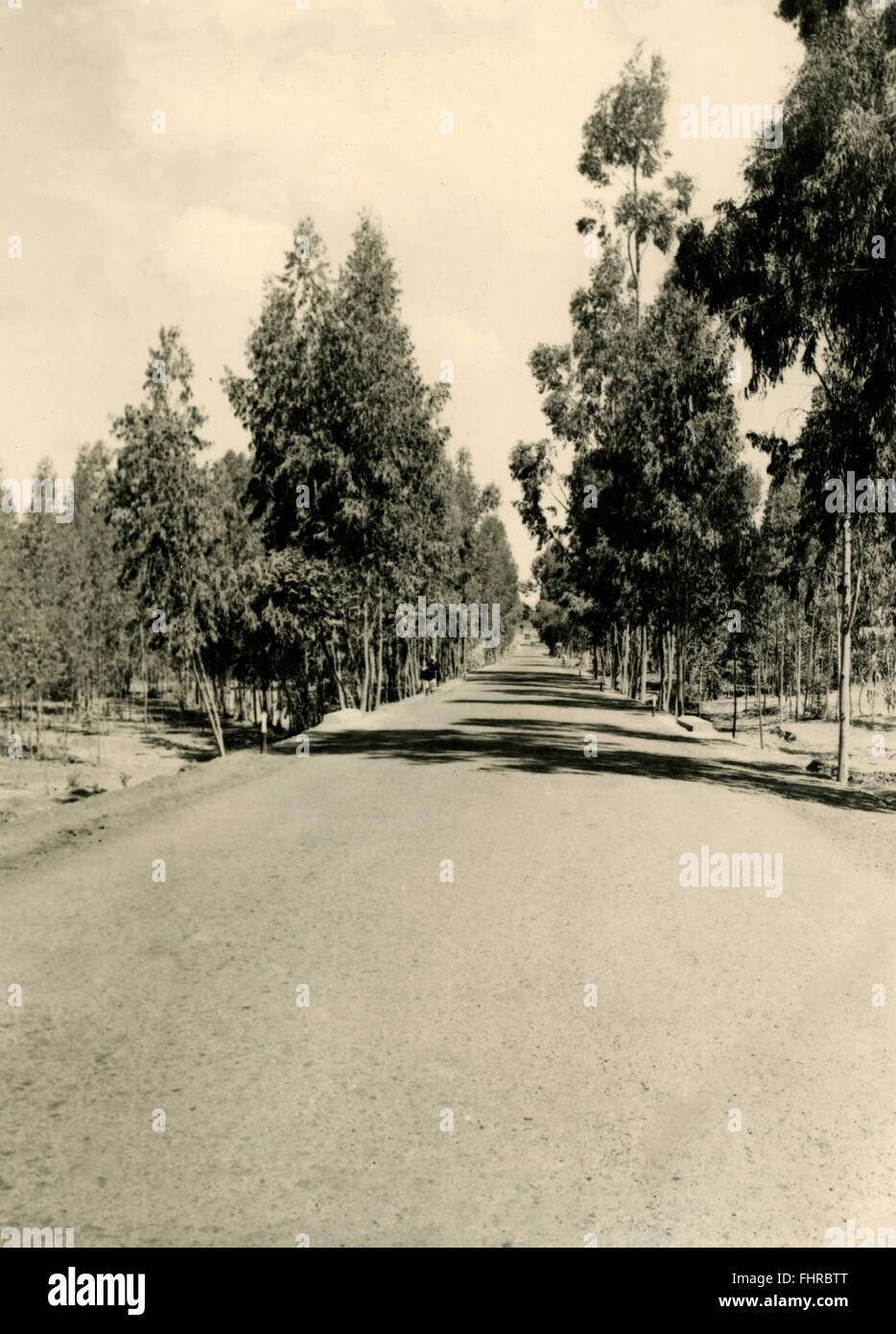 Dessie and ethiopia hi-res stock photography and images - Alamy