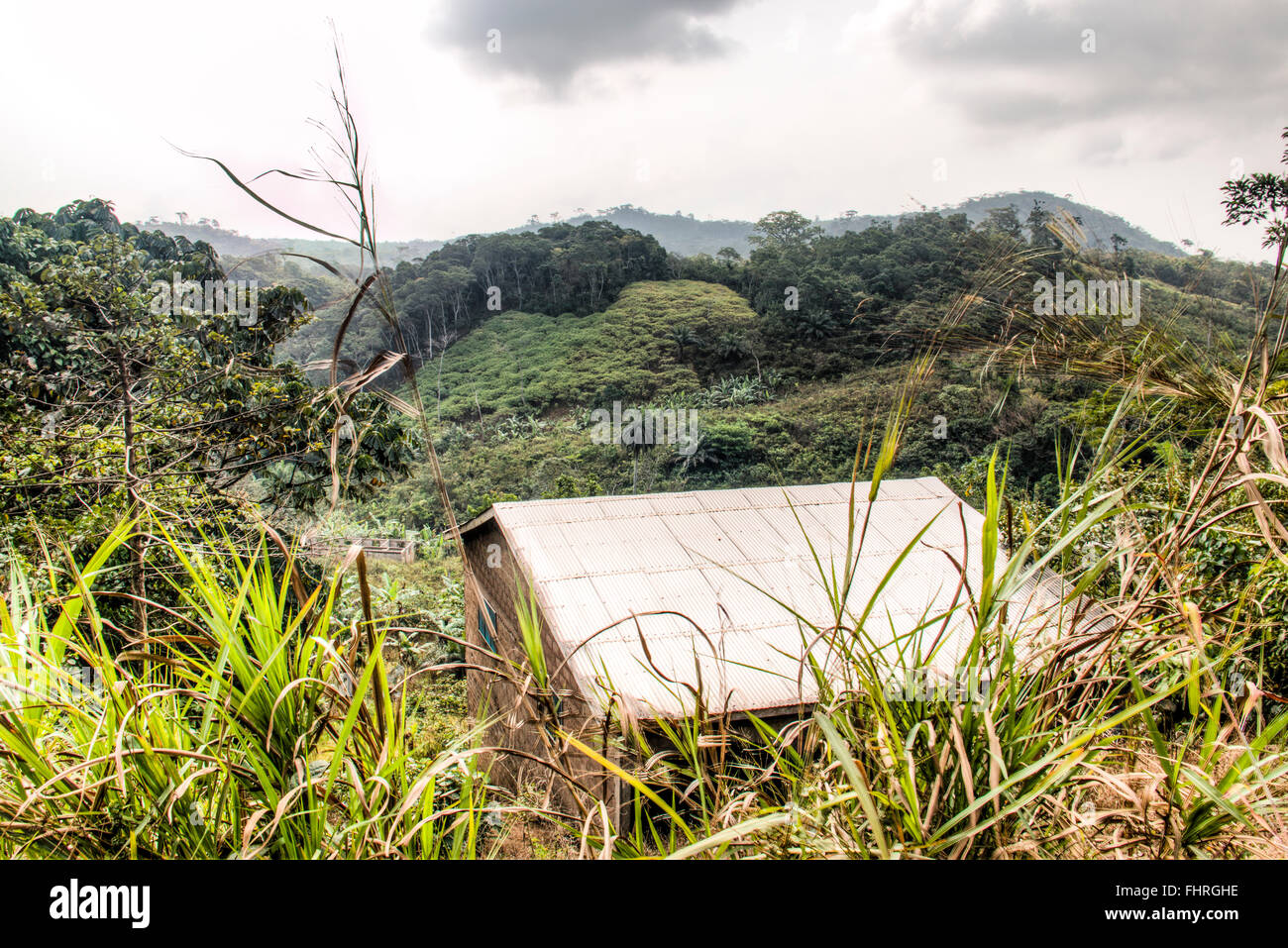Beautiful landscape in the mountains in Amedzofe in the Volta Region ...