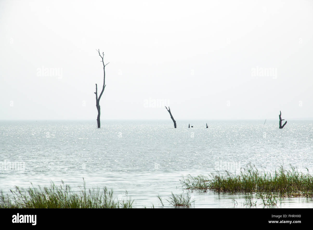 Beautiful landscape in the fishing village of Toko near lake Volta in ...