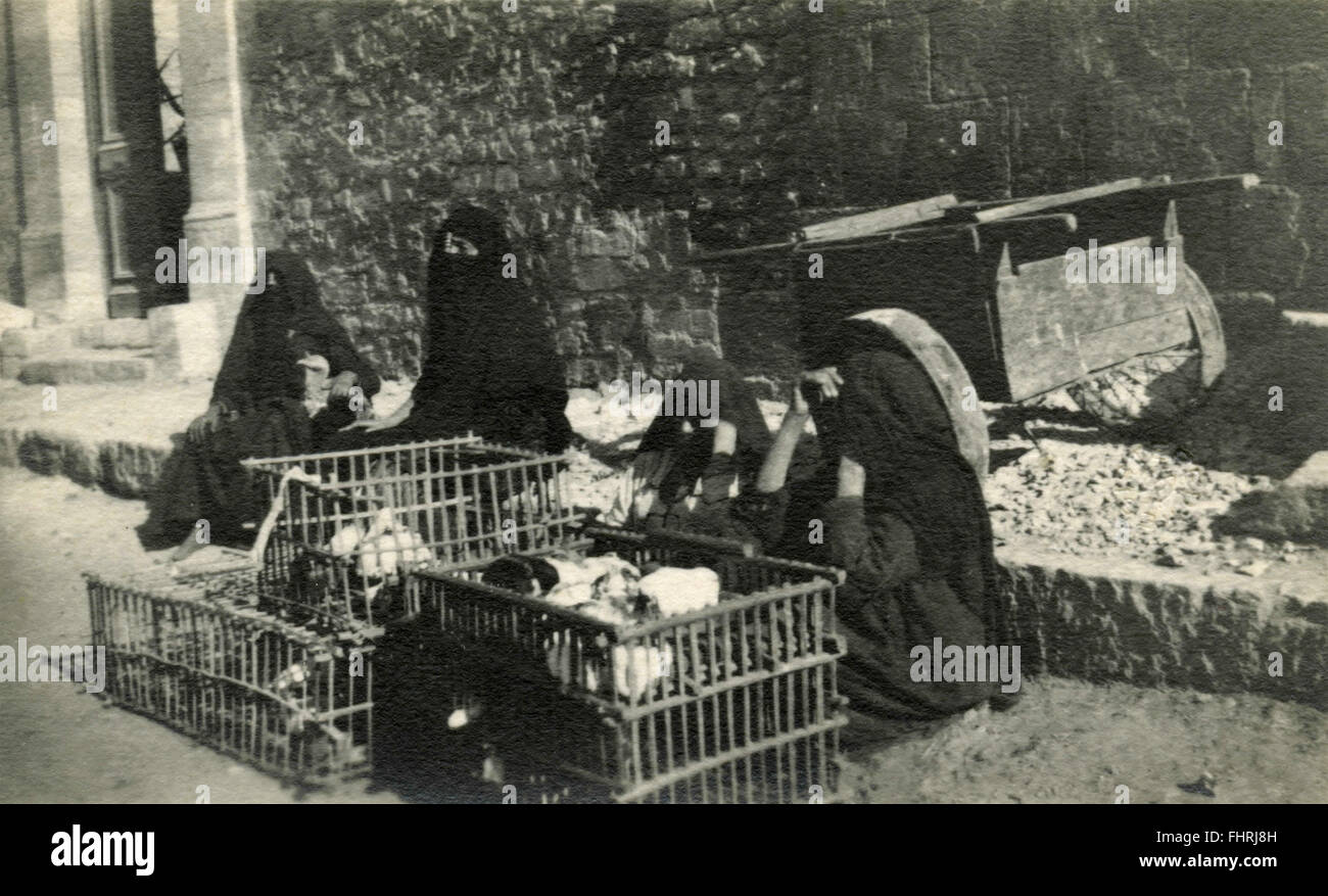 Selling live animals to the market, Africa Stock Photo - Alamy