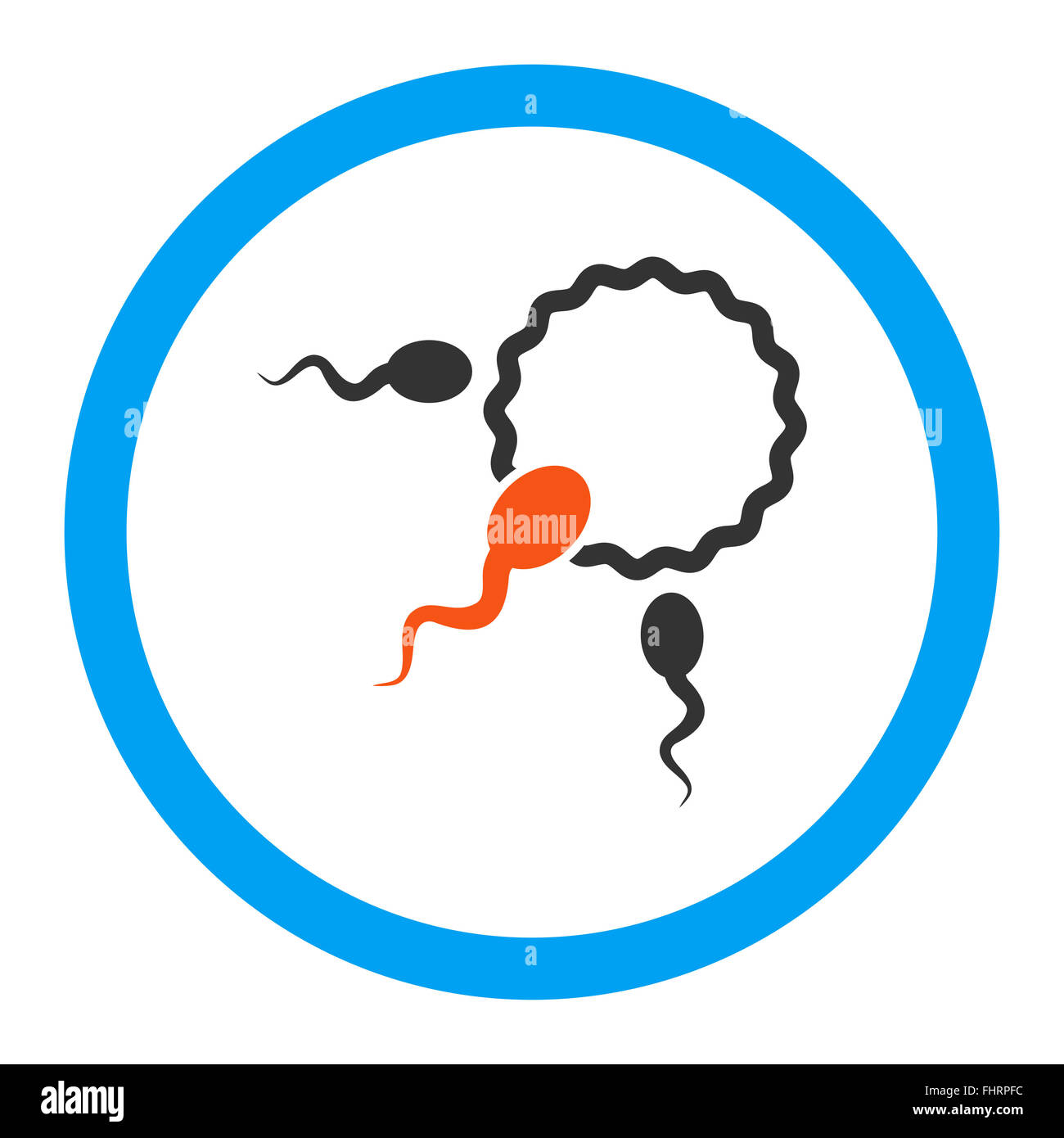 Fertilization Rounded Vector Icon Stock Photo - Alamy