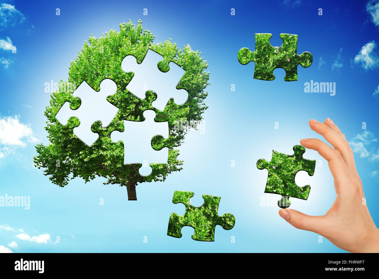 Hand making tree puzzle Stock Photo - Alamy