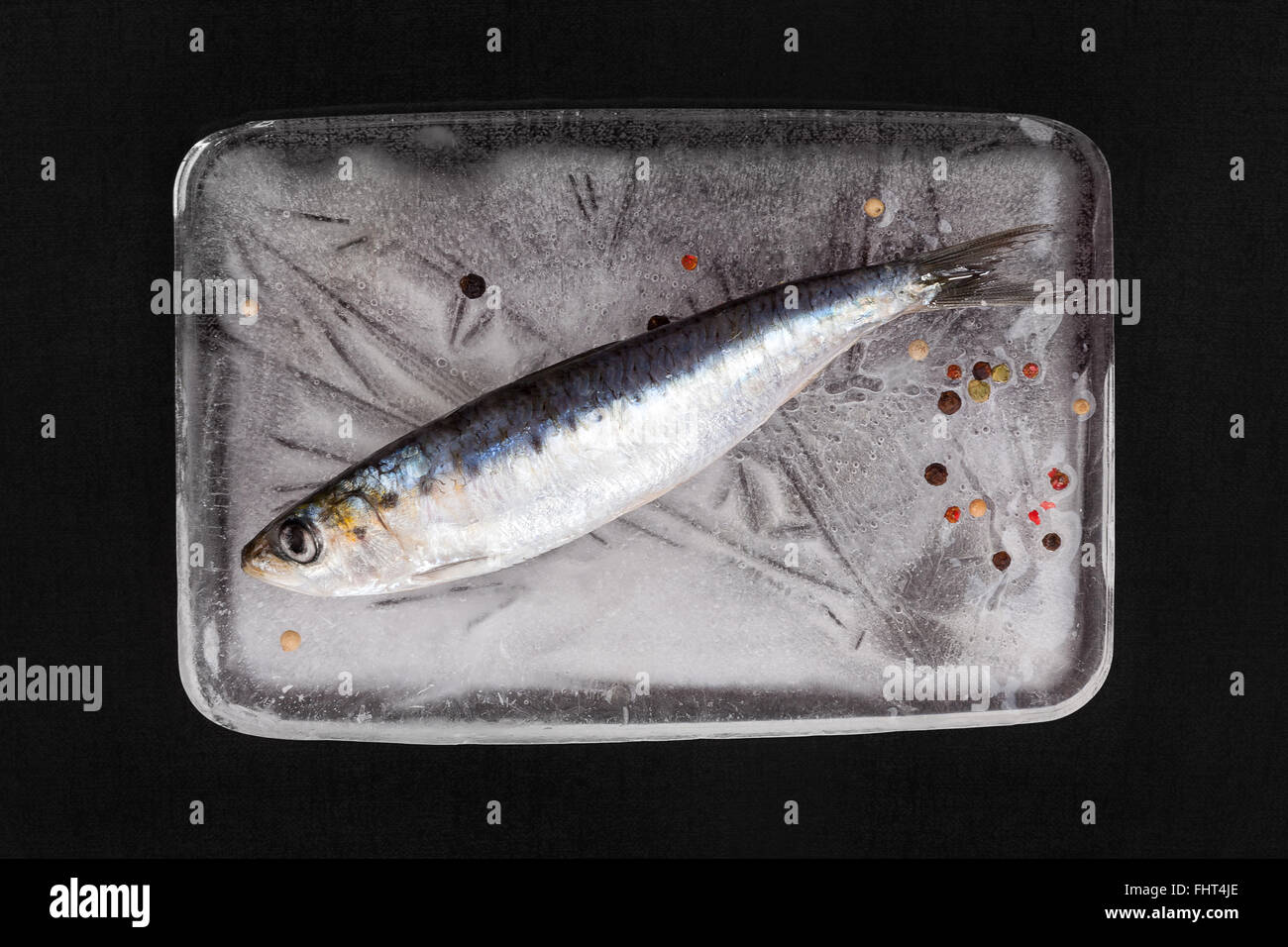 Anchovy tray hi-res stock photography and images - Alamy