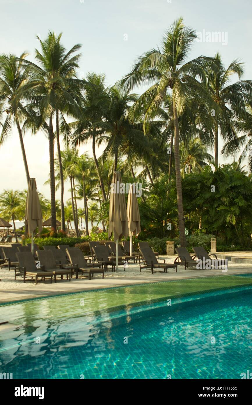 An image of a resort swimming pool Stock Photo - Alamy