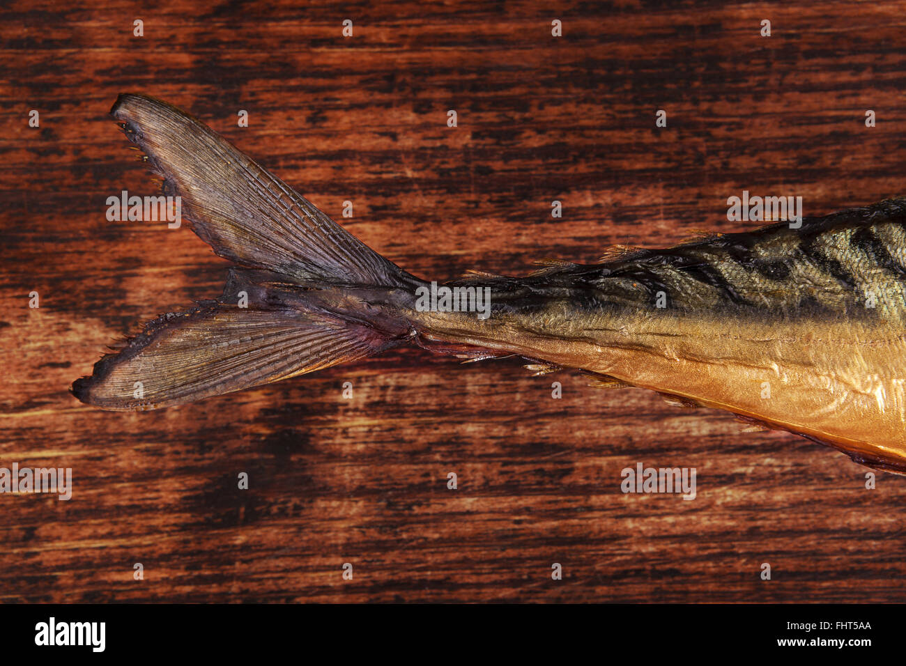 Studio kipper hi-res stock photography and images - Alamy