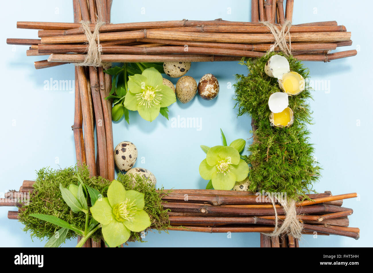 Easter frame with two raw and seven boiled quail eggs and one hellebore ...