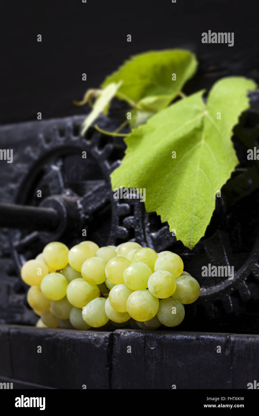 Traditional wine making Stock Photo - Alamy