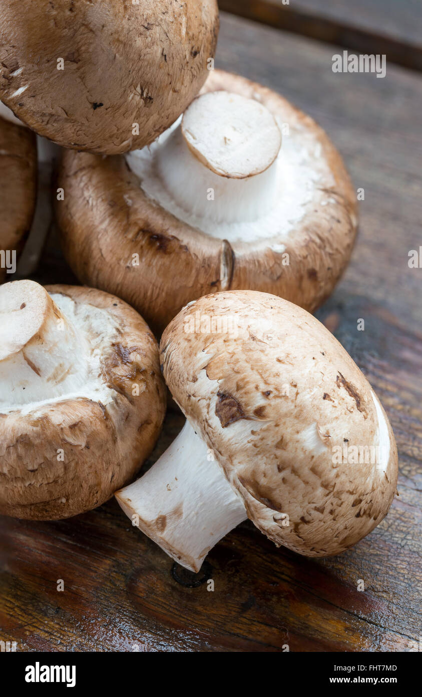Champignon champignons agaricus campestris hi-res stock photography and ...