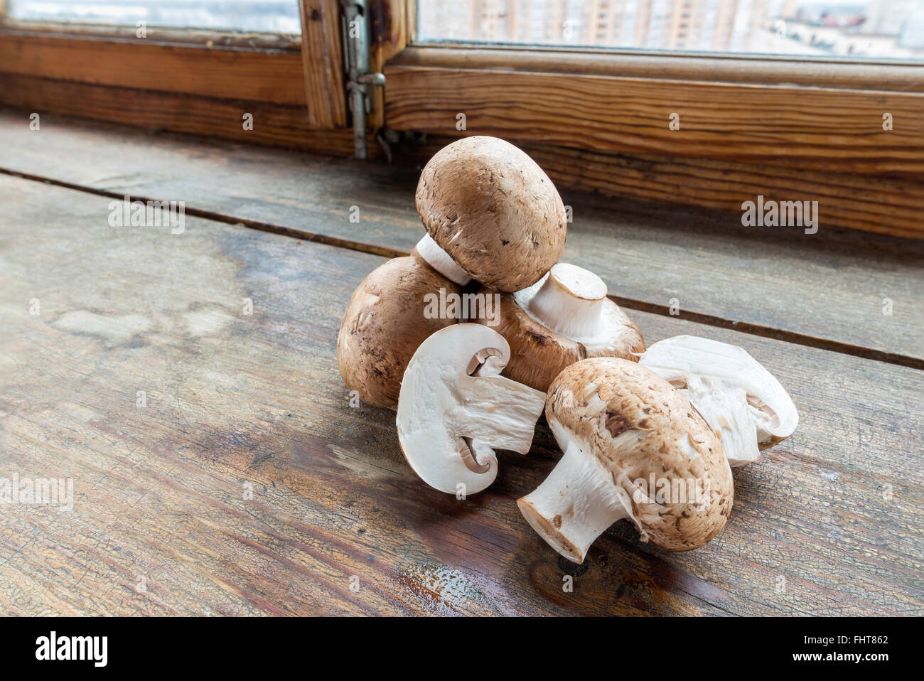 Champignon champignons agaricus campestris hi-res stock photography and ...