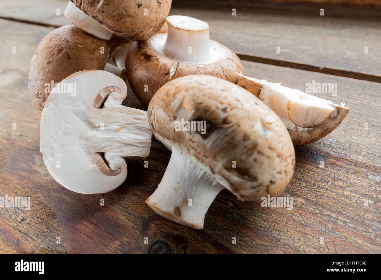 Champignon champignons agaricus campestris hi-res stock photography and ...