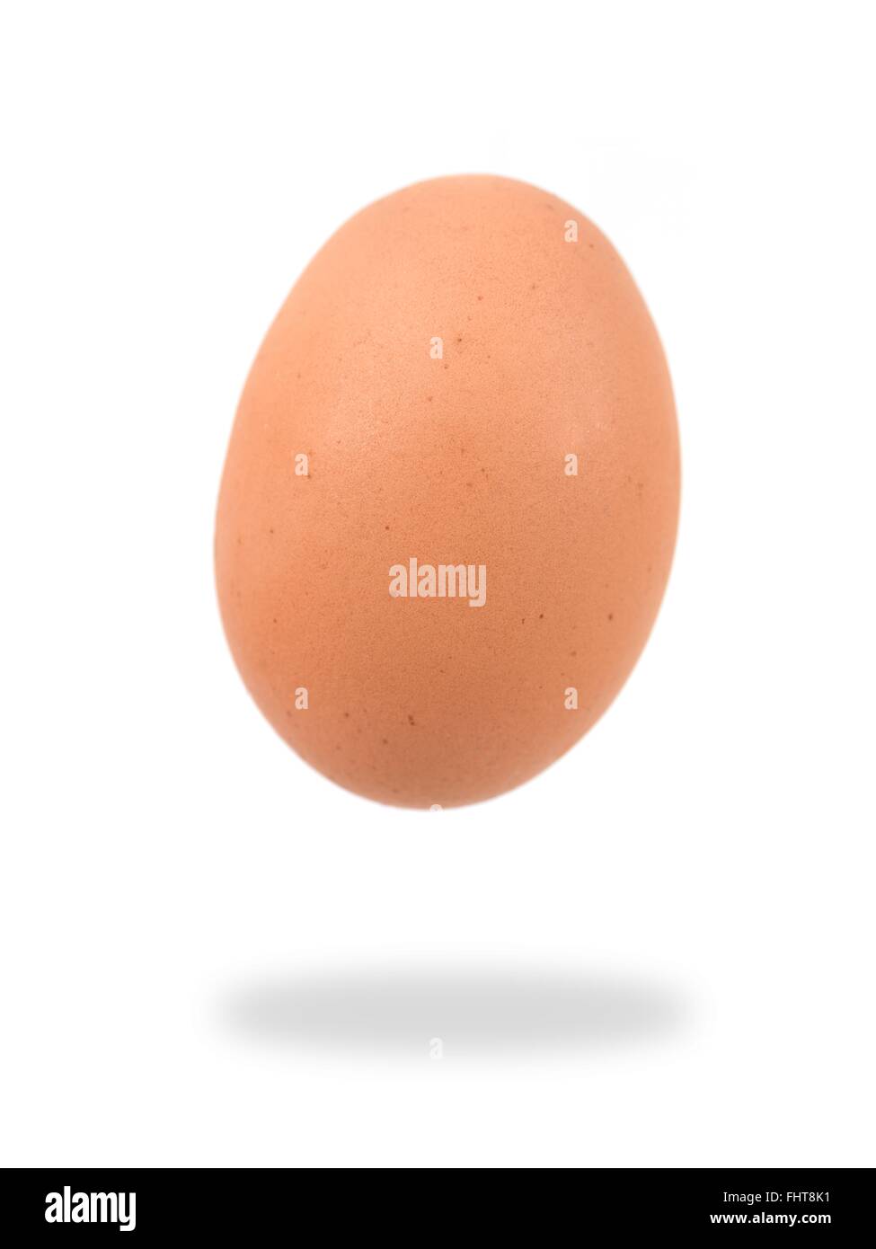 An egg isolated against a white background Stock Photo - Alamy