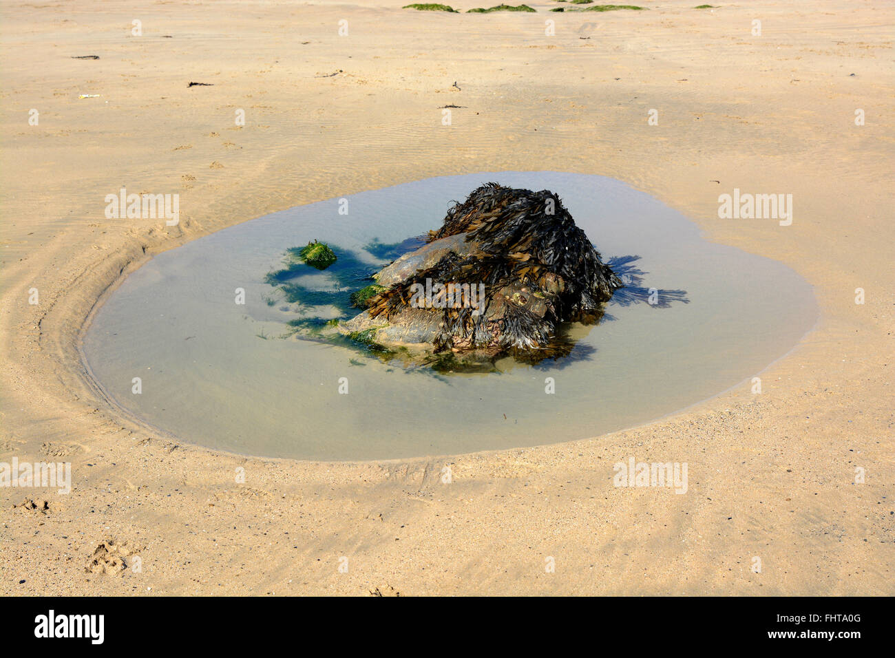 Rock and pool of seawater on sandy beach in Newquay, Cornwall, England ...