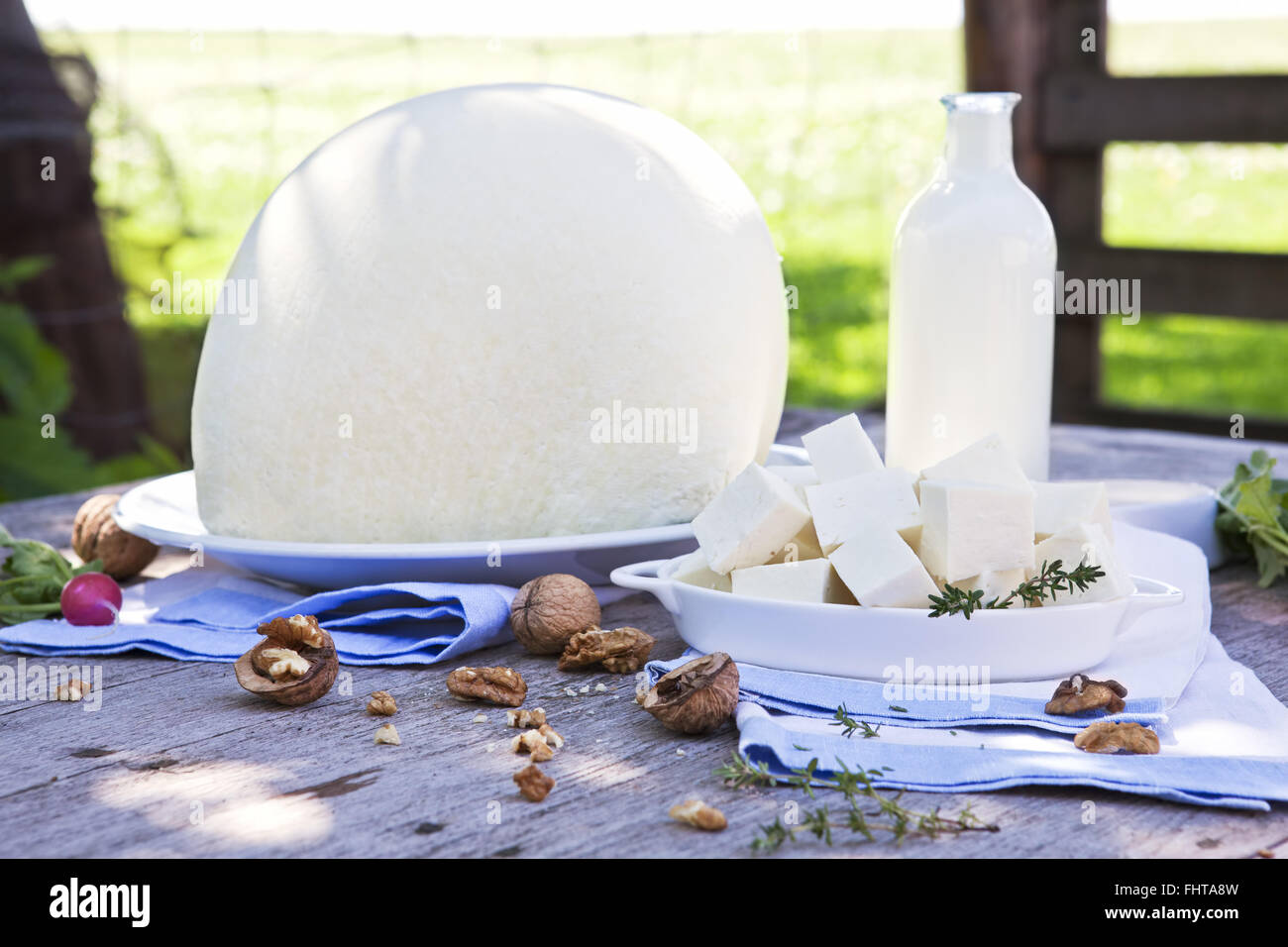 Traditional white cheese Stock Photo - Alamy