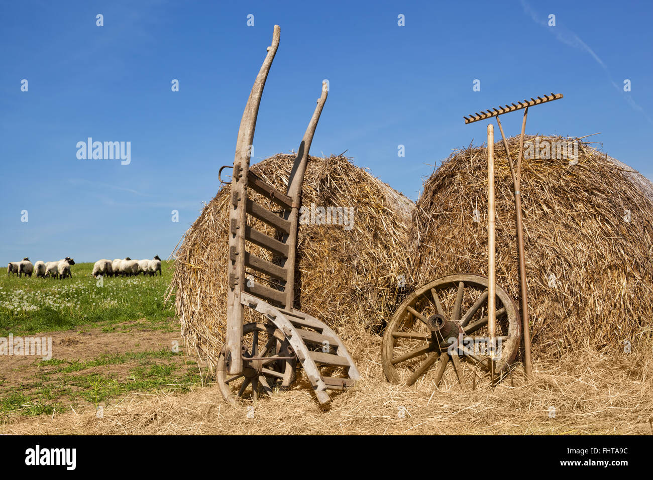 Agriculture background hi-res stock photography and images - Alamy