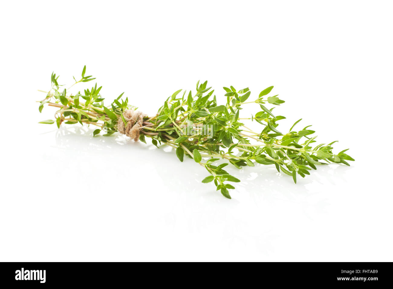 Studio shot of thyme Cut Out Stock Images & Pictures - Alamy