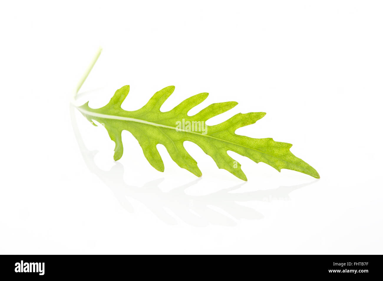 Arugula leaf isolated Stock Photo - Alamy