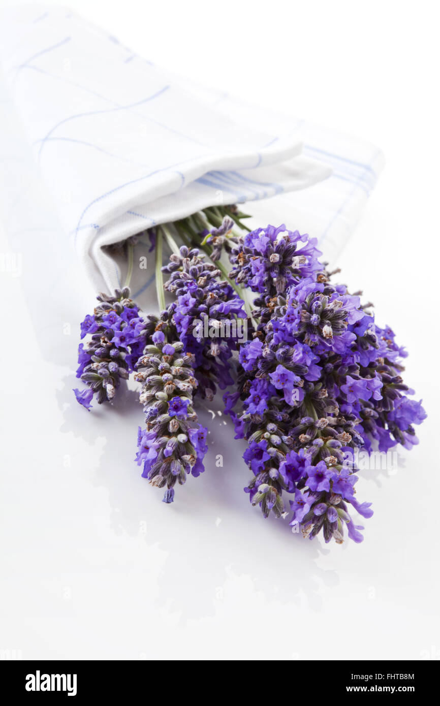 Beautiful lavender background Stock Photo - Alamy
