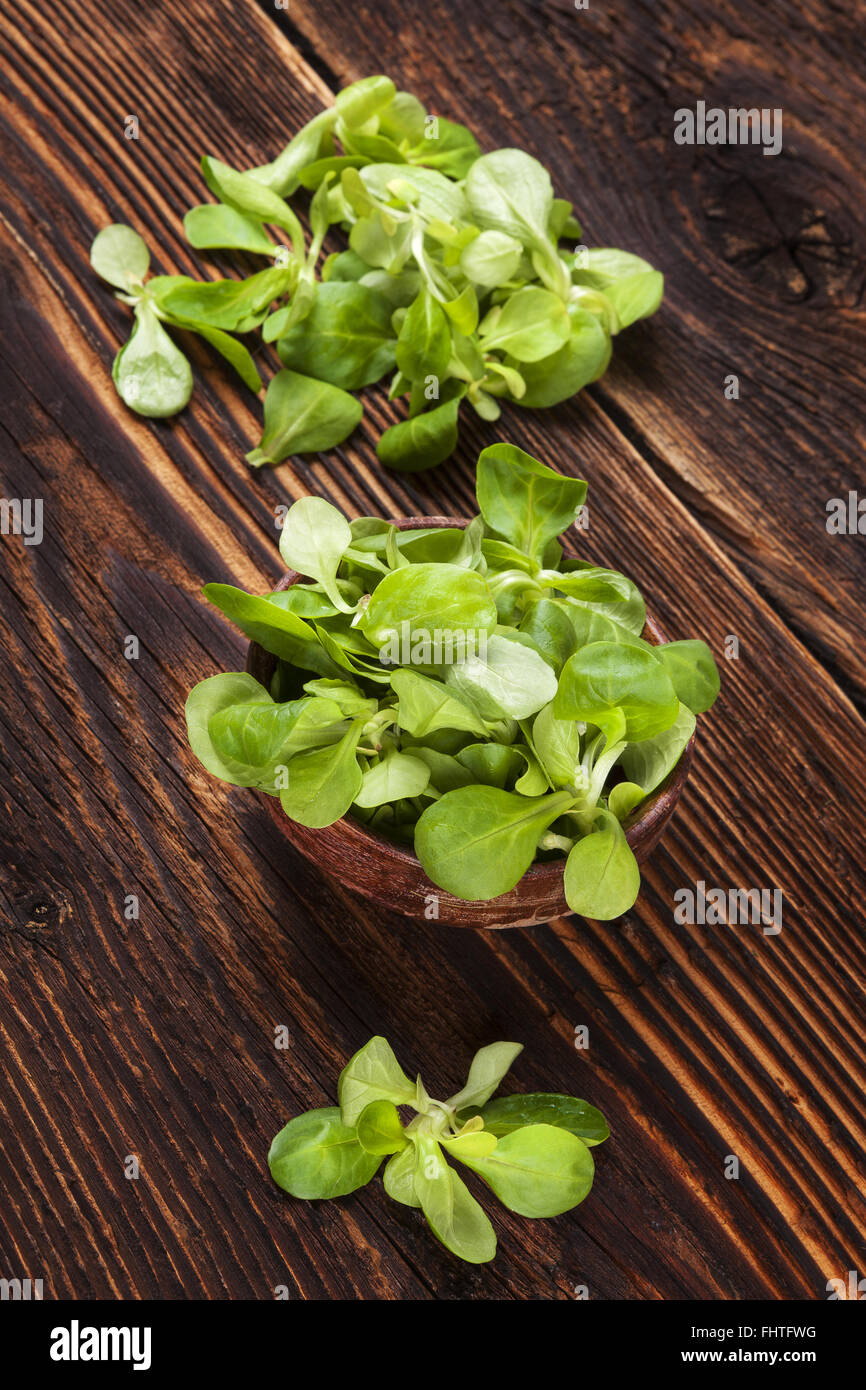 Salad bowl lambs lettuce hi-res stock photography and images - Alamy