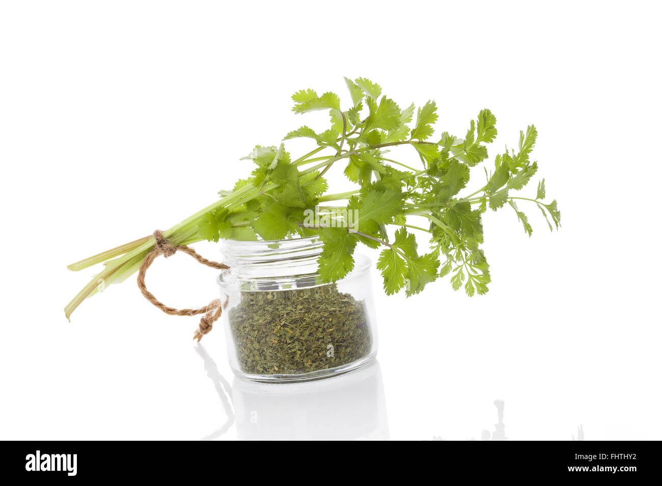 Coriander, culinary aromatic herbs Stock Photo - Alamy