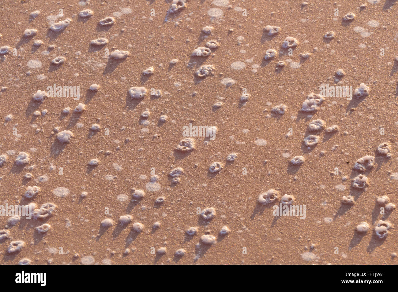 Beautiful texture created by the salt crystals form in the process of ...