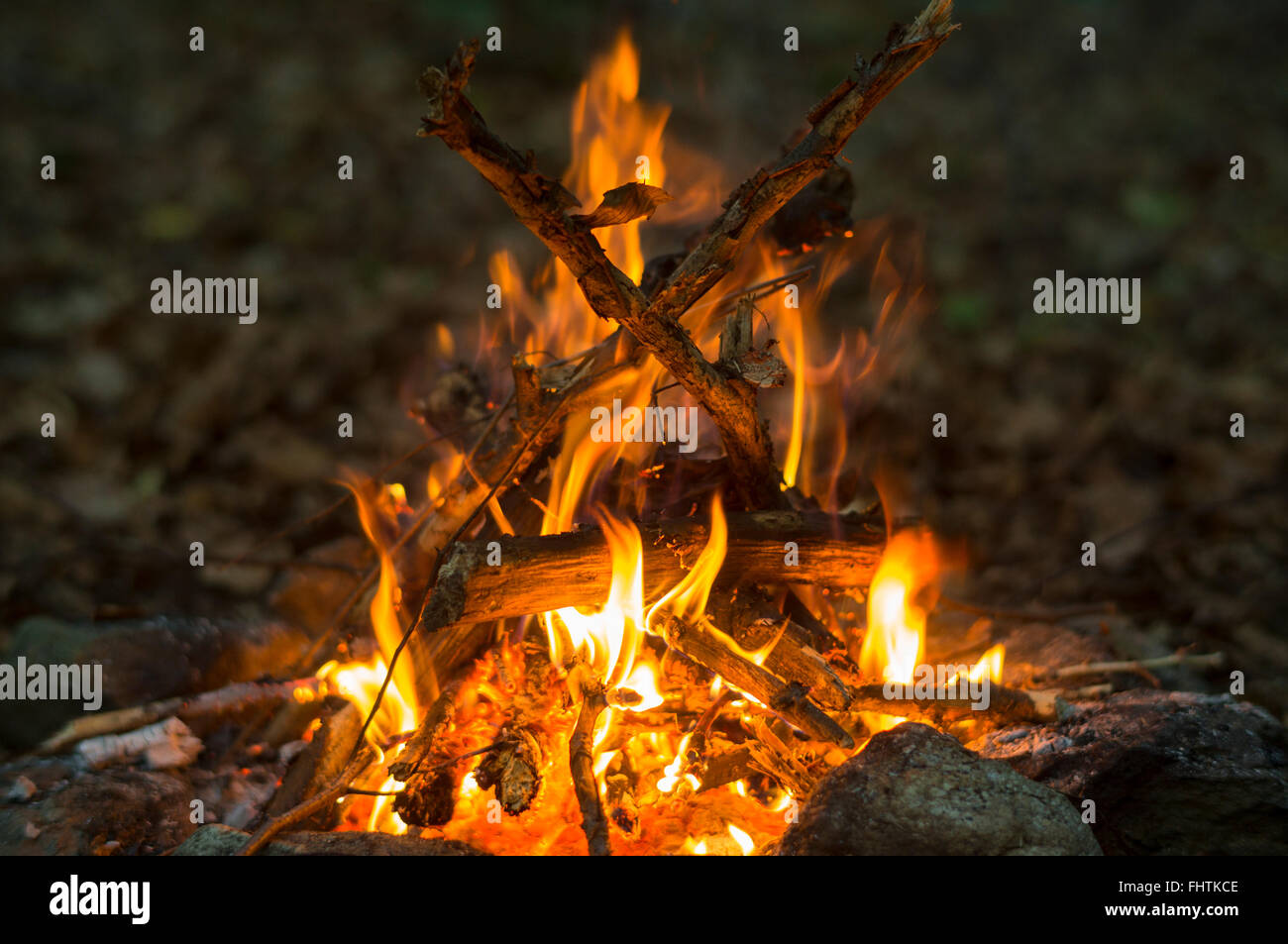 Night bonfire in dead forest hi-res stock photography and images - Alamy