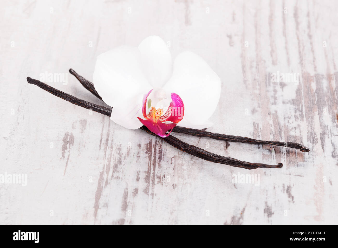 Luxurious vanilla background Stock Photo - Alamy