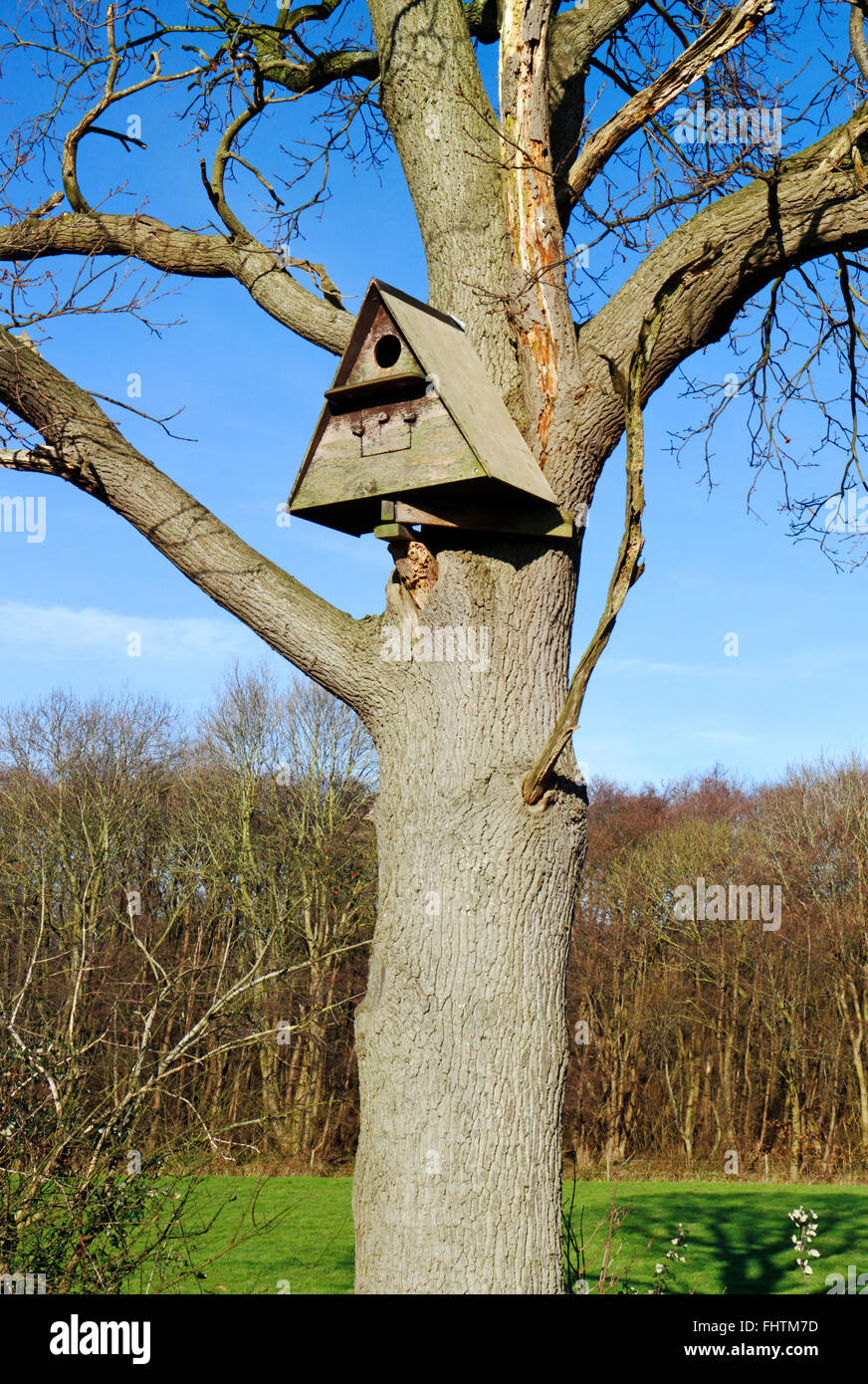 A raptor nesting box by The Angles Way long distance path at Barsham ...